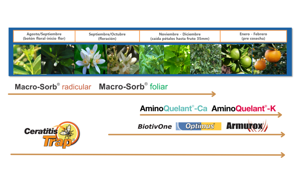 Cítricos - Brometan
